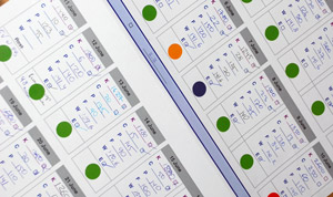 Track your progress the old-fashioned way: monthly wallchart